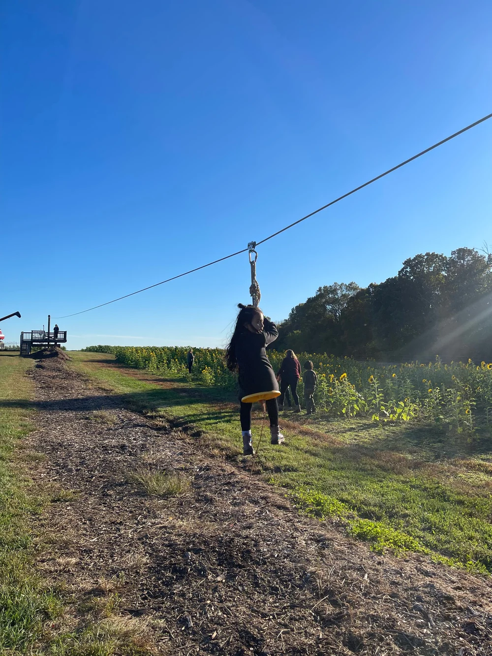 Fun Activities — Messick's Farm Market