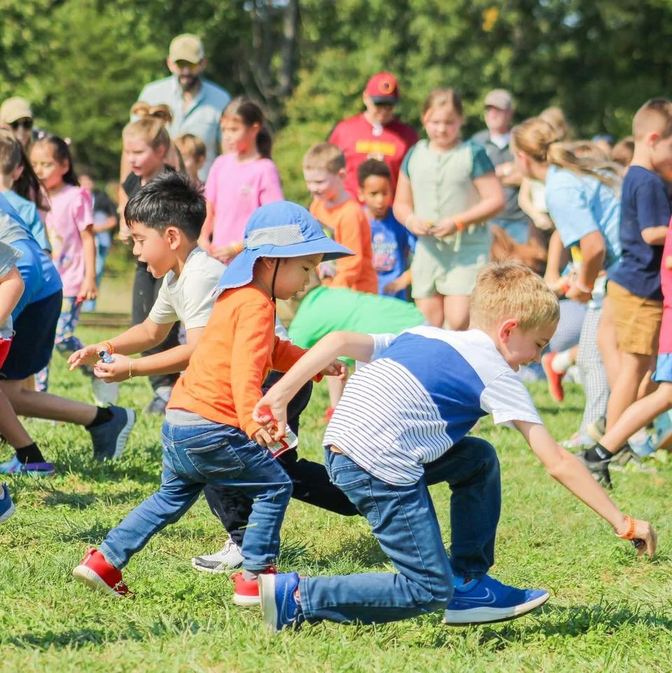 Messick's Farm Market