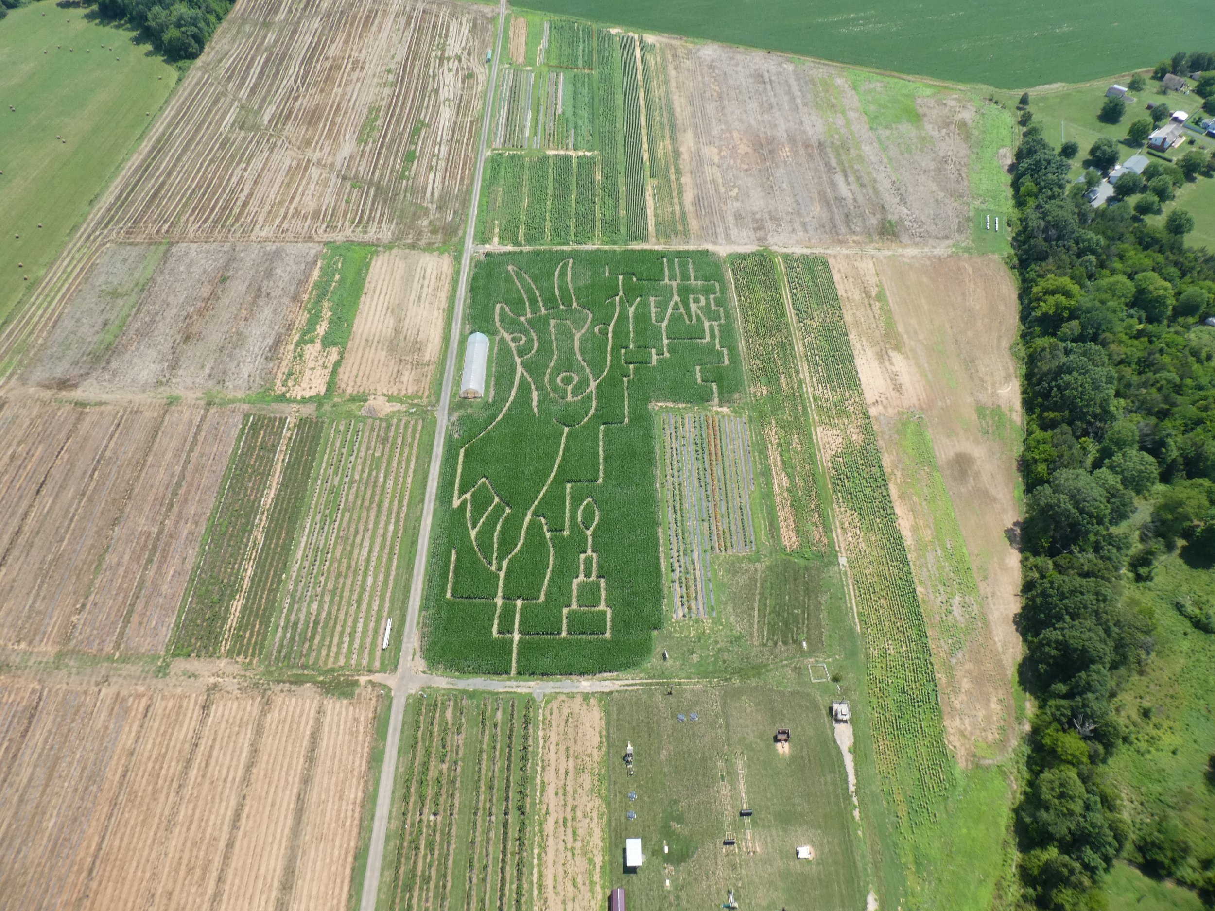 Messick's Farm Market