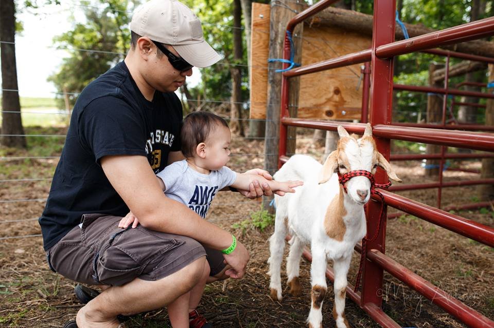 Messick's Farm Market
