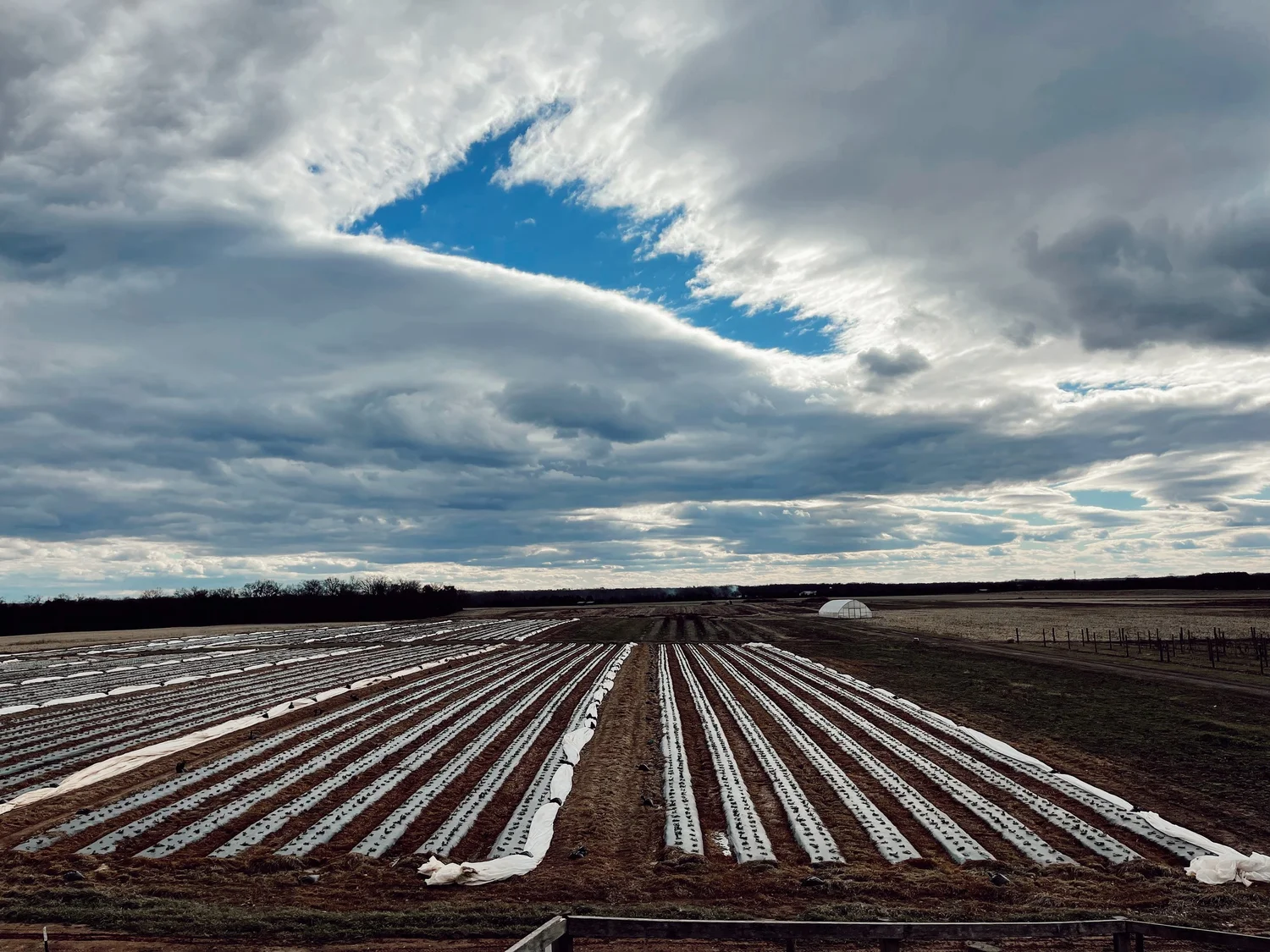 Messick's Farm Market