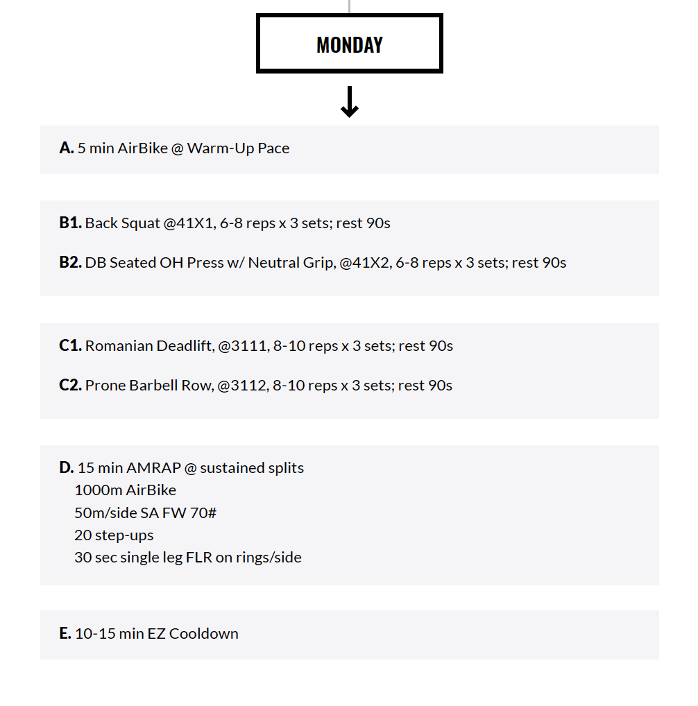 How to Make a Workout Plan in Three Steps | OPEX Fitness