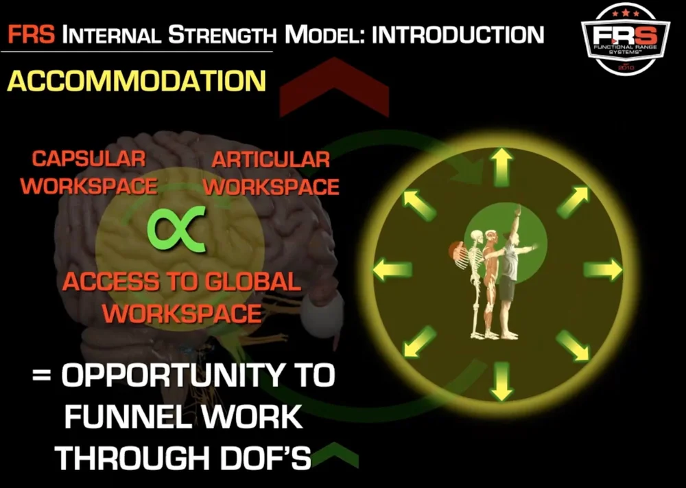 A Comprehensive Guide to Range of Motion (ROM) — The RANGE Rehab and ...