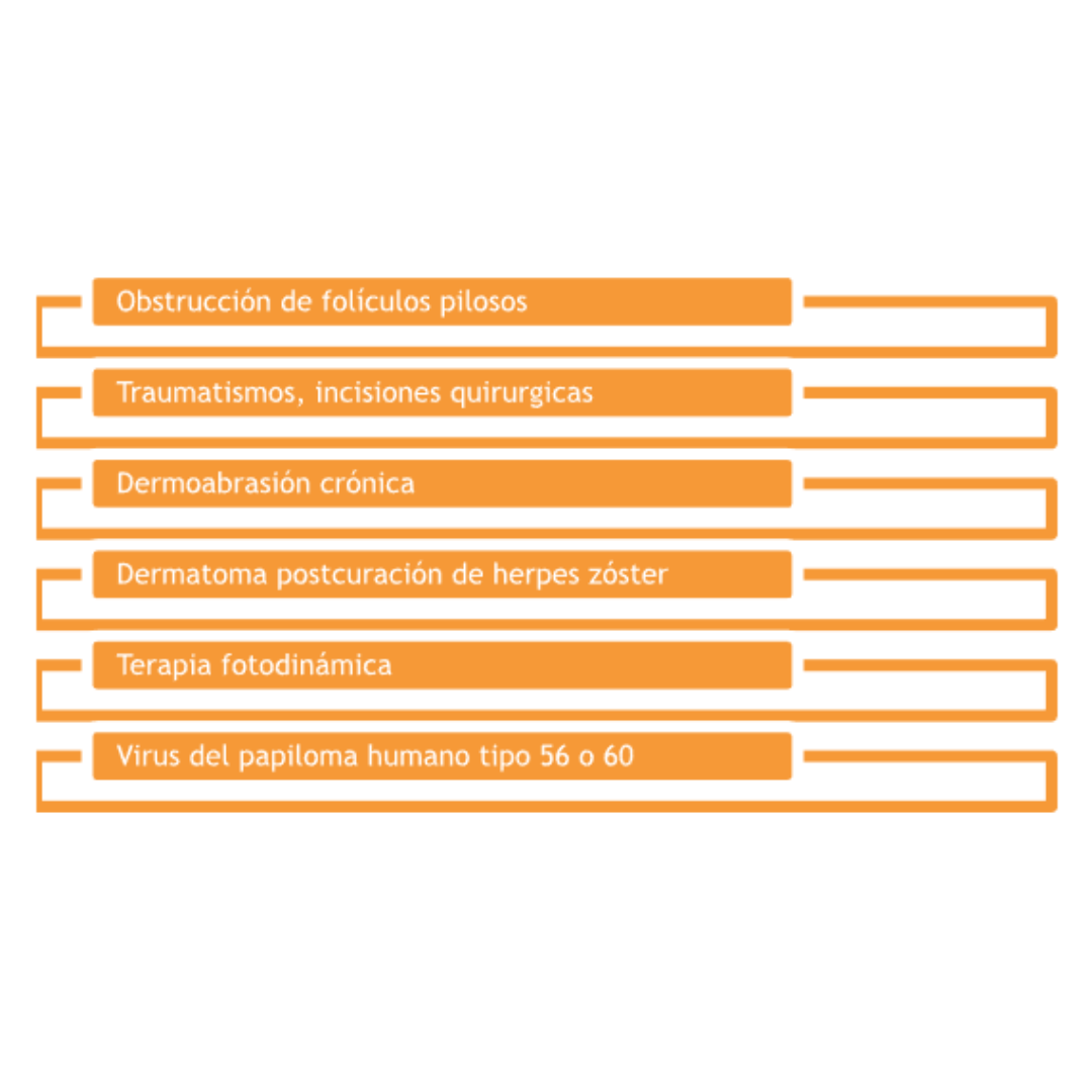 Quiste de Inclusión Epidérmico y sus Características Ecográficas ...