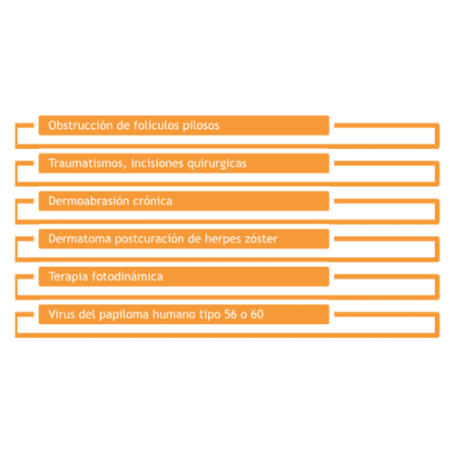 Quiste de Inclusión Epidérmico y sus Características Ecográficas ...
