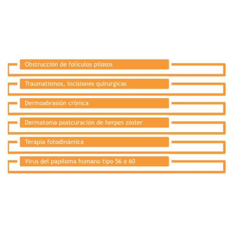 Quiste de Inclusión Epidérmico y sus Características Ecográficas ...
