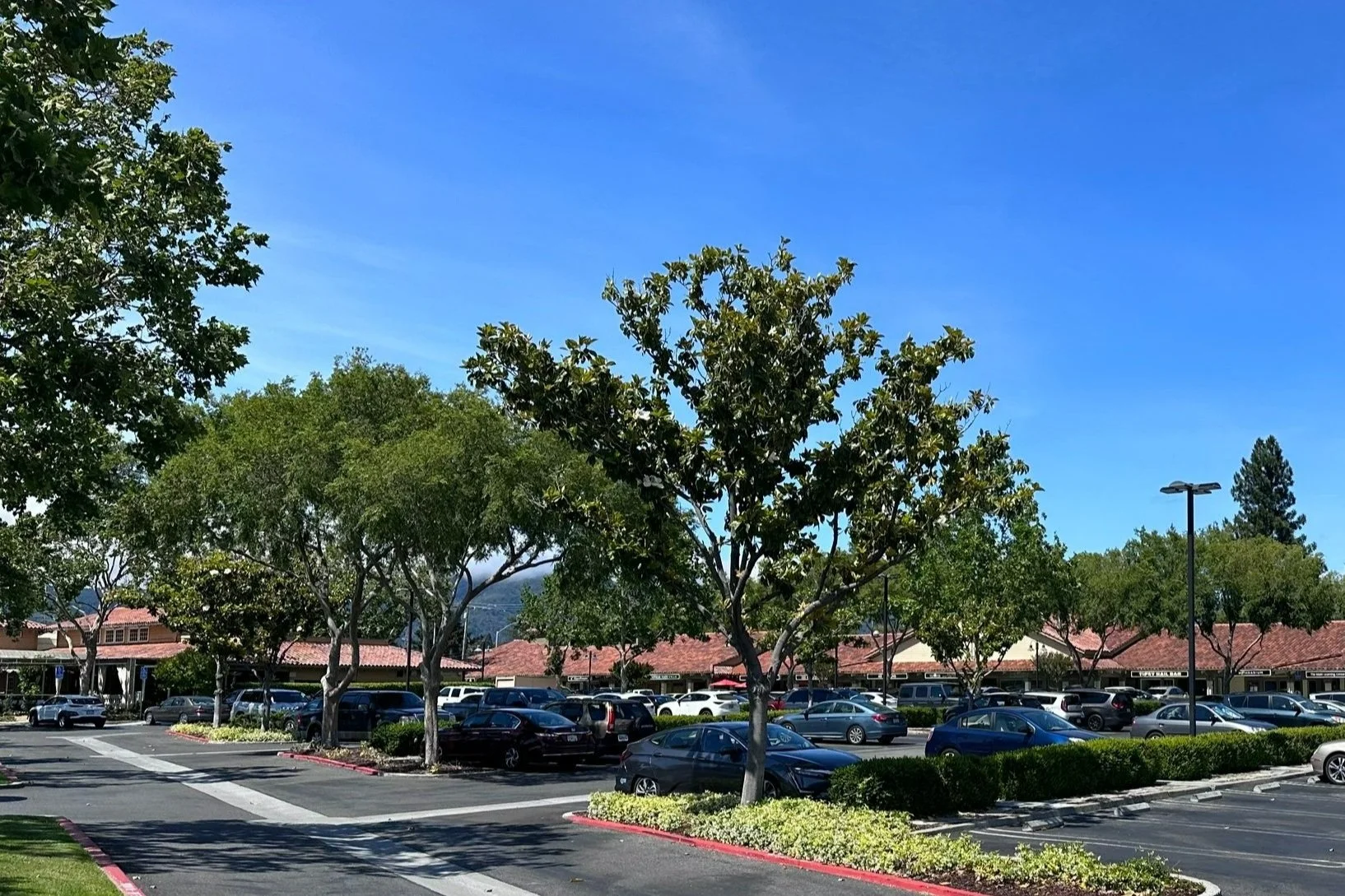 March Development Company