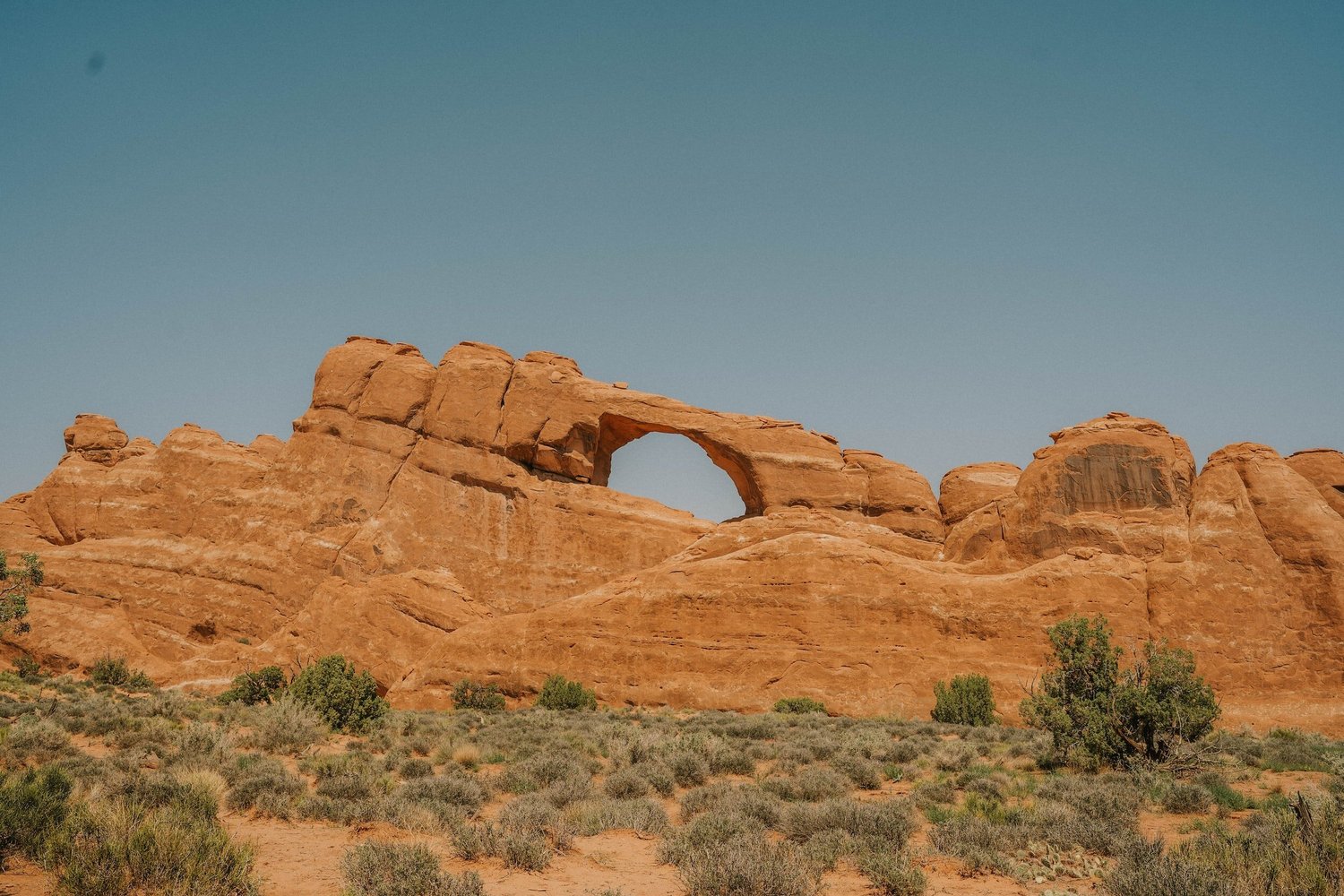 Utah Sign Association