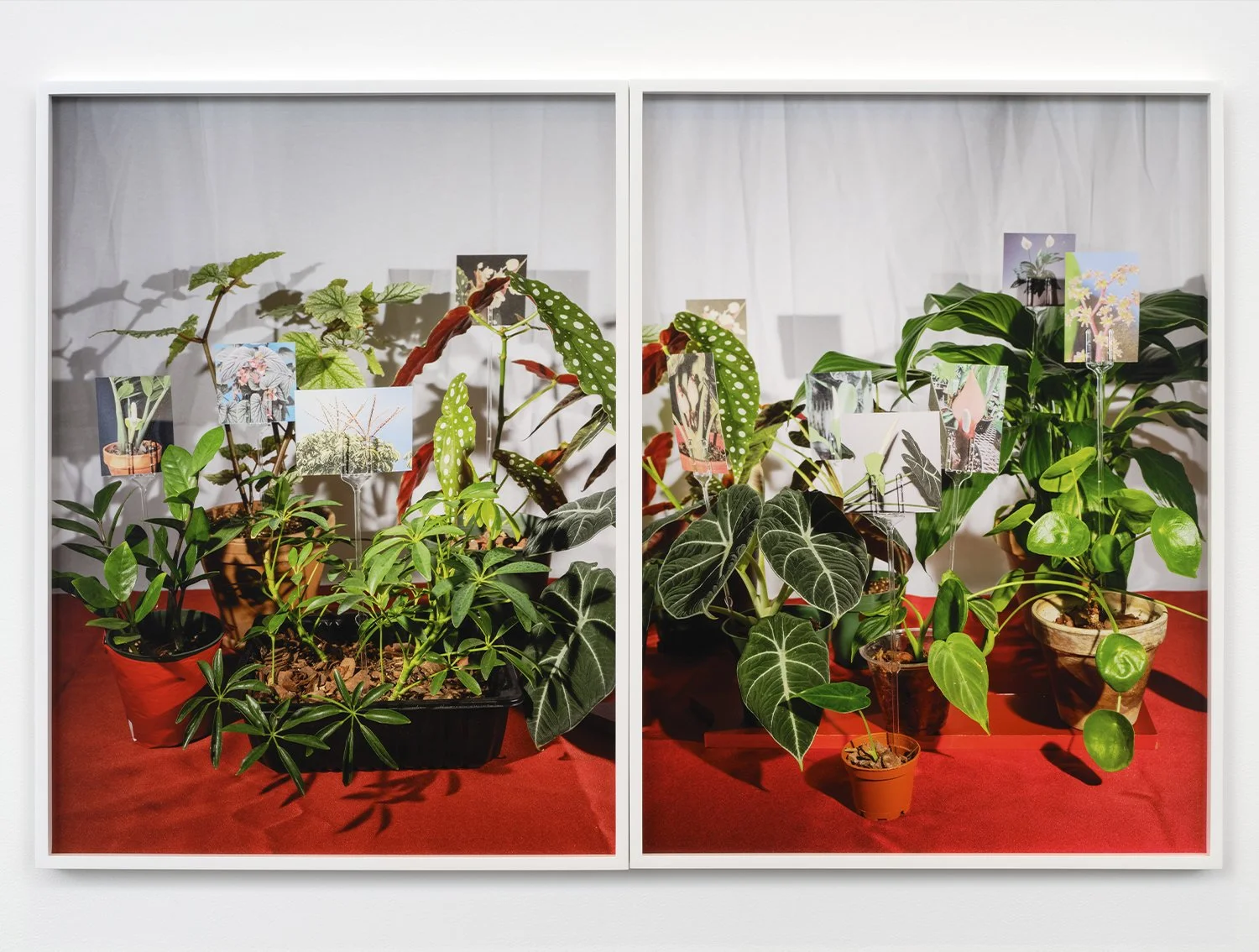 Artist in Residence — Latitude Chicago