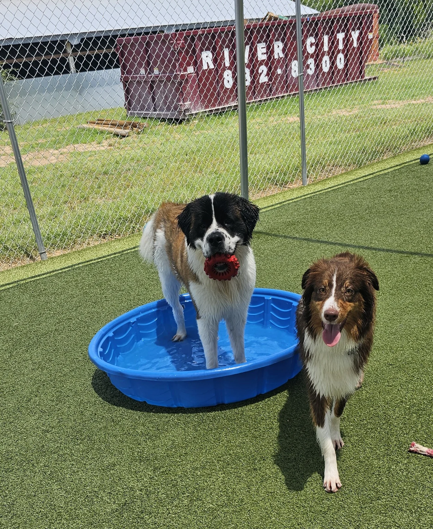 East Side Pet Ranch - Dog Boarding, Daycare, & Grooming
