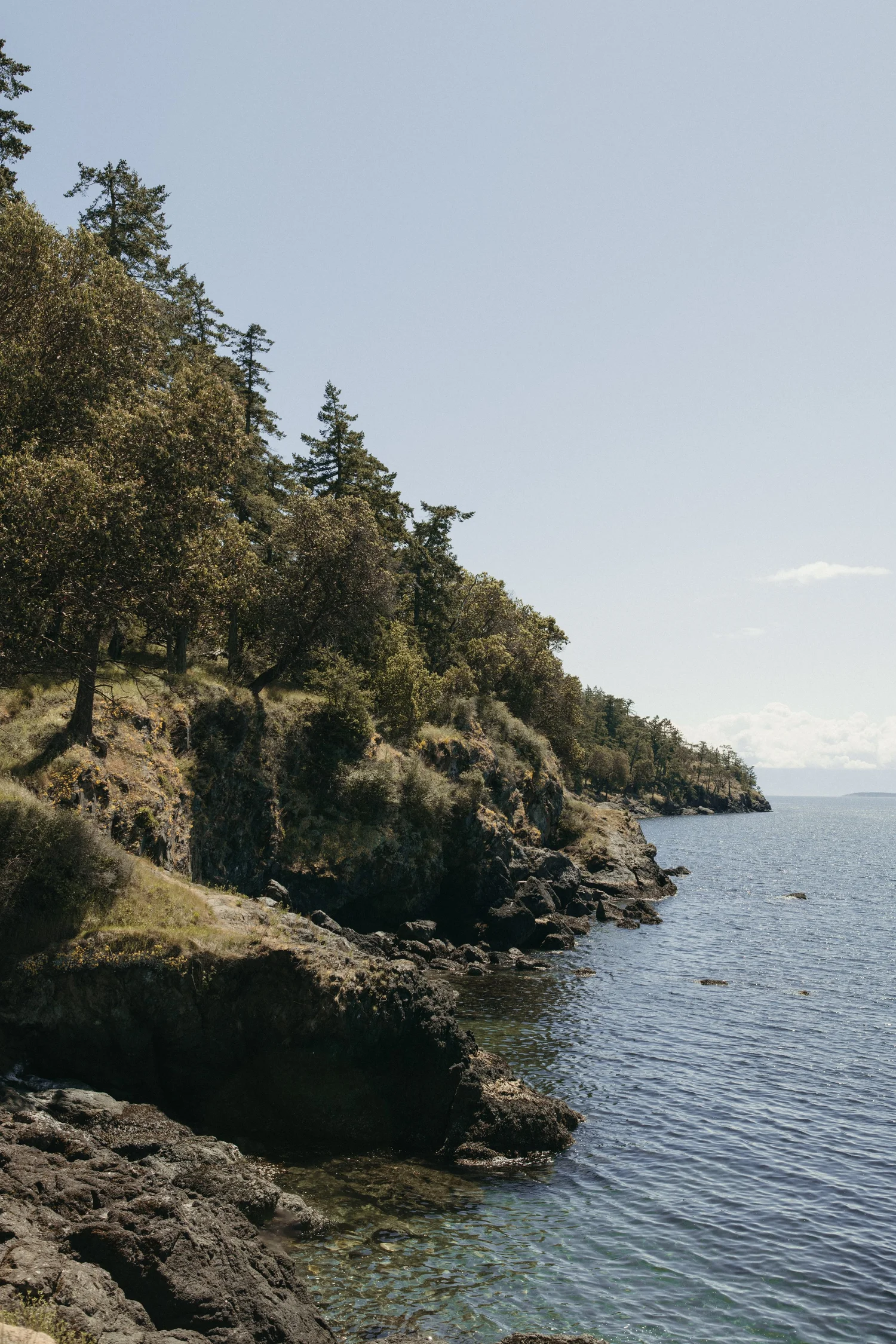 Roche Harbor Micro Wedding San Juan Island, WA | Lauren Nicole Photo ...