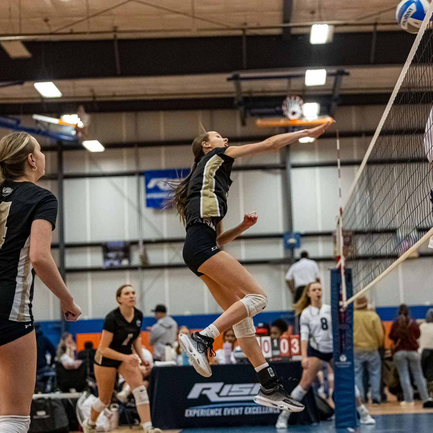 NC Gold Volleyball Academy