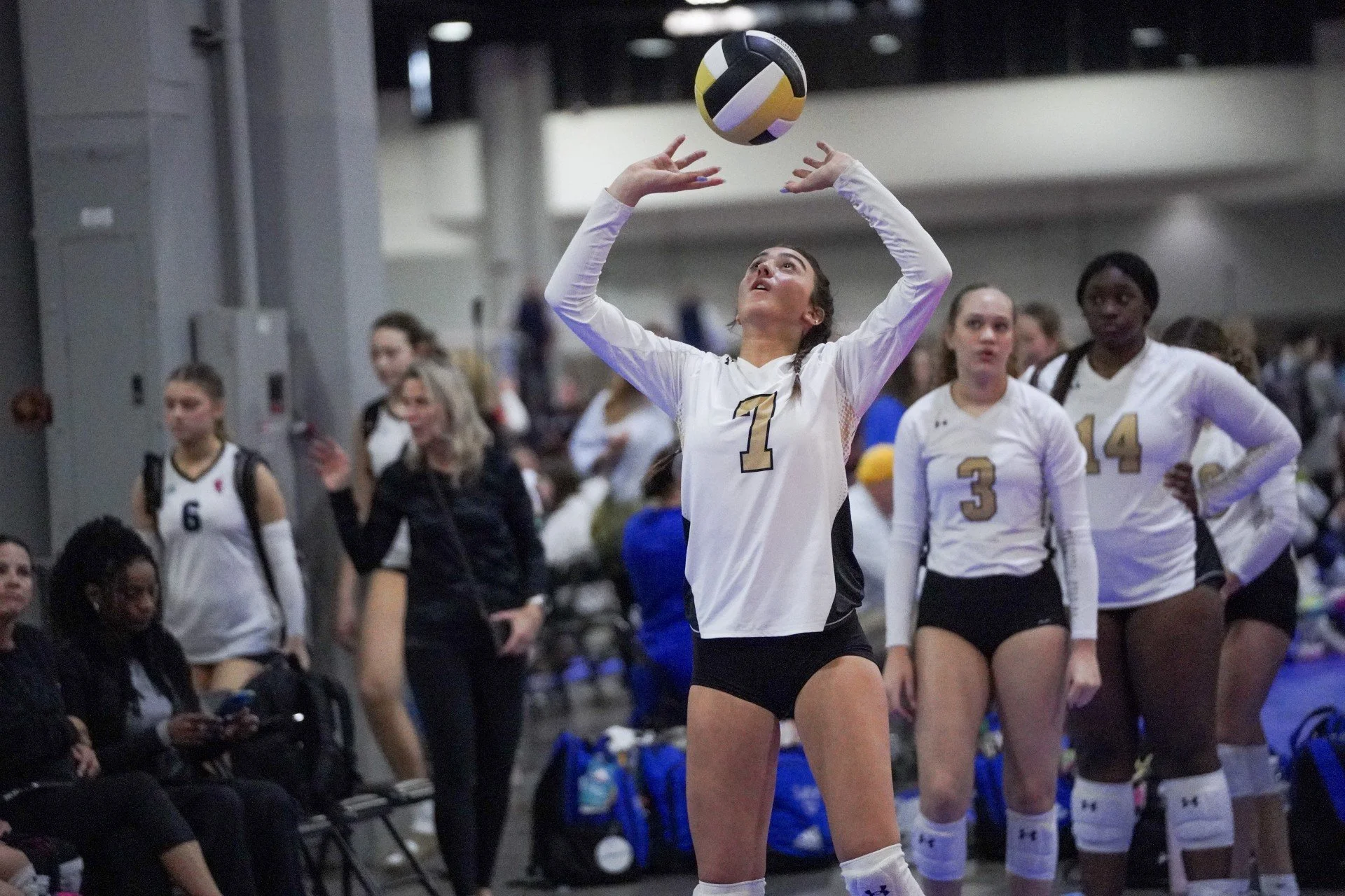 NC Gold Volleyball Academy