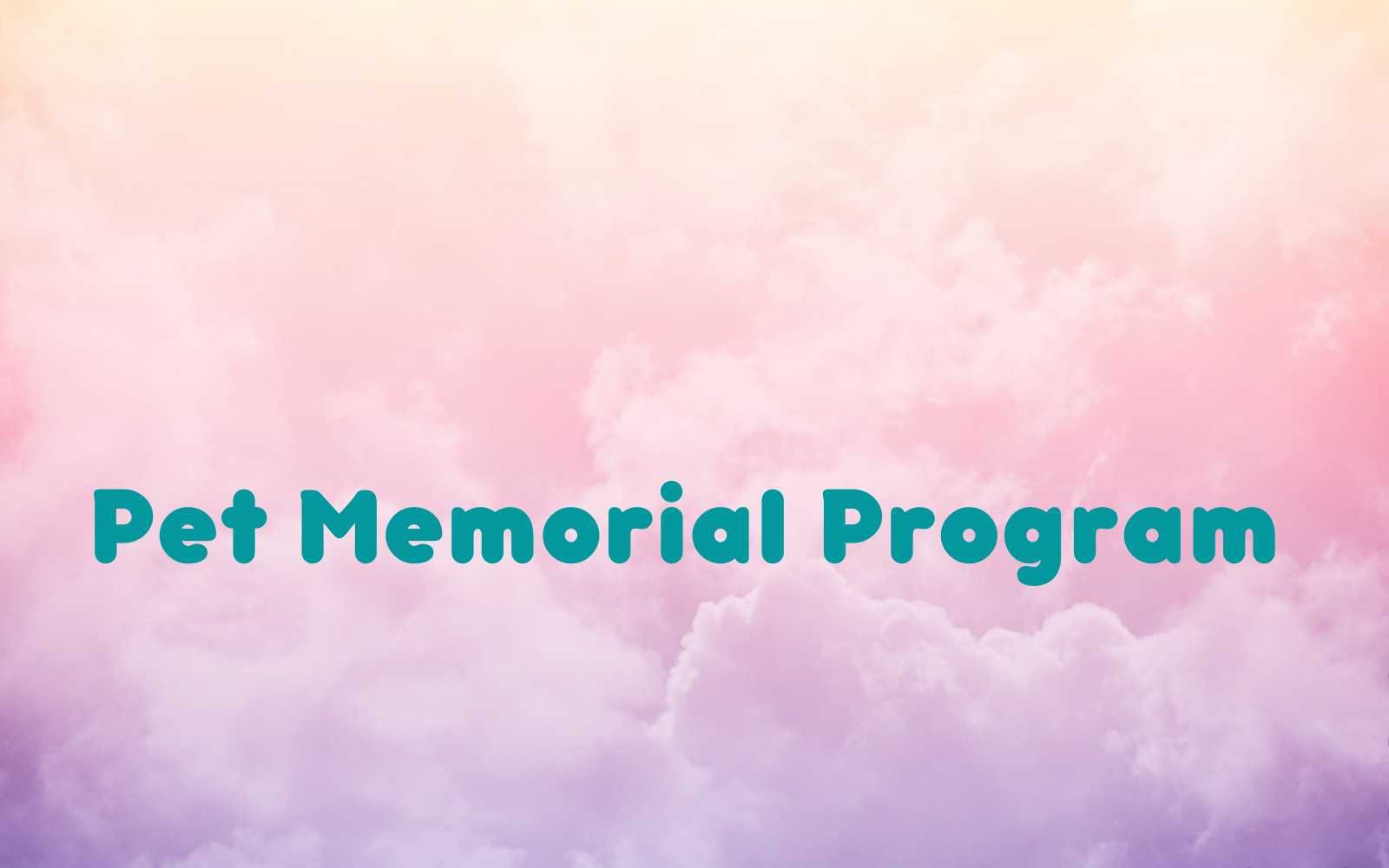 Pet Memorial Program — Project AnimalAid