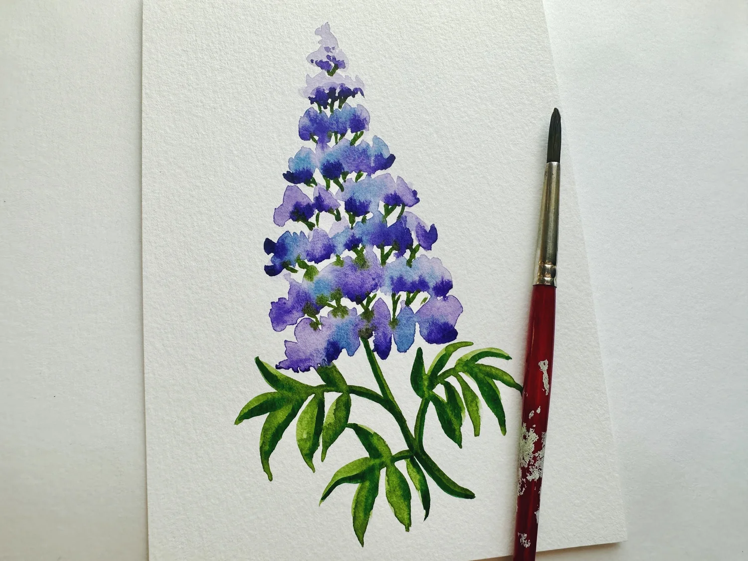 Channel Islands National Park — Kendra VanDruff Watercolors