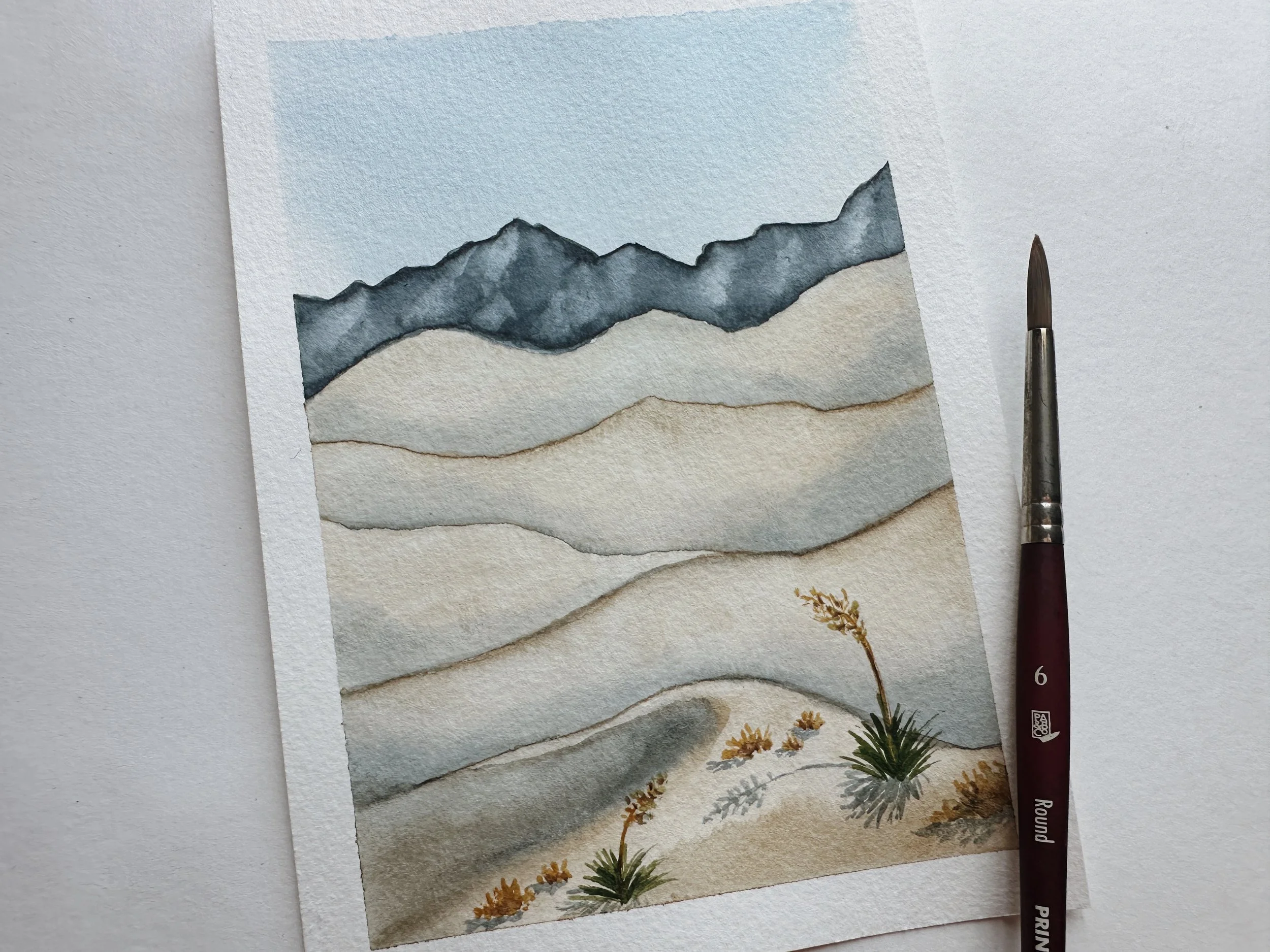 Channel Islands National Park — Kendra VanDruff Watercolors