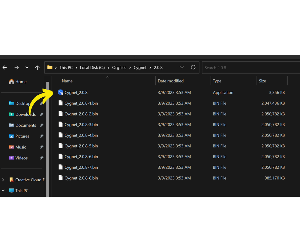 Cygnet Set Up — BEE Medic