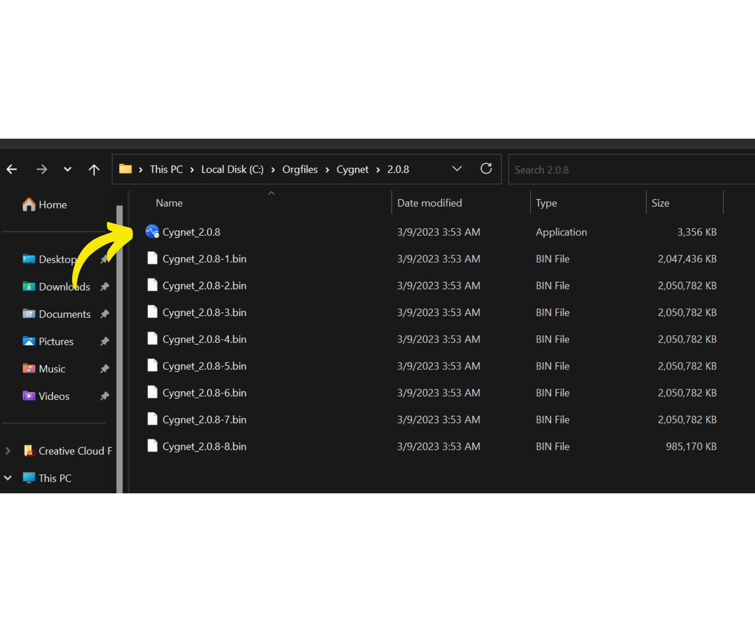 Cygnet Set Up — BEE Medic