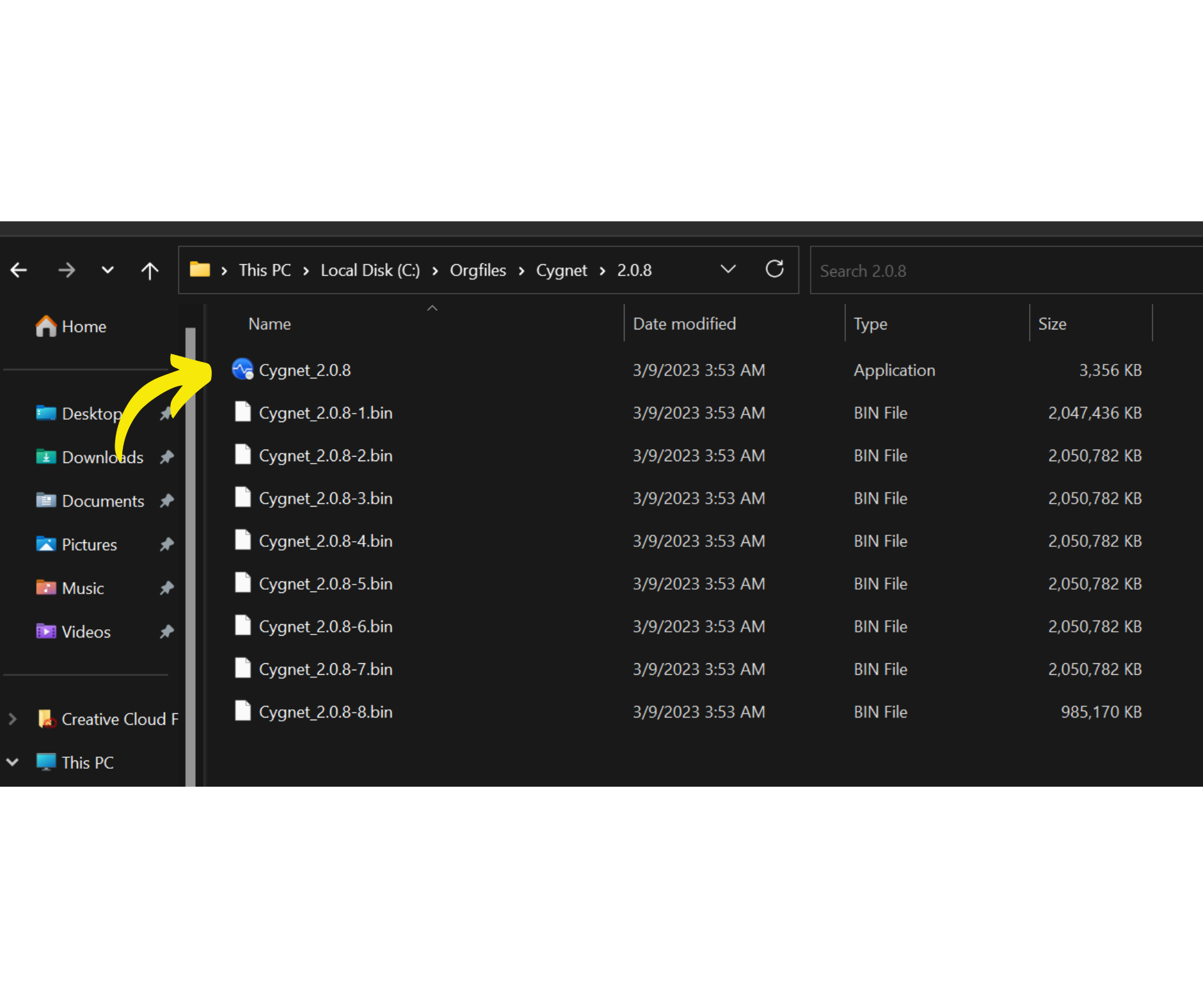 Cygnet Set Up — BEE Medic