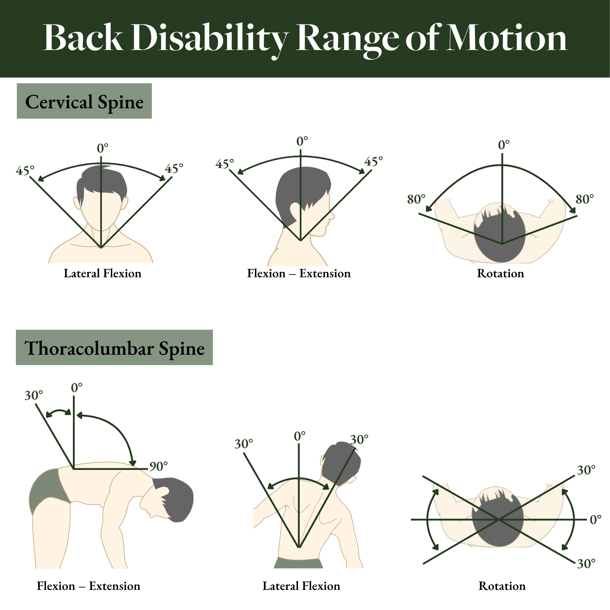 Back Conditions VA Rating Criteria Explained — Greene-Marusak