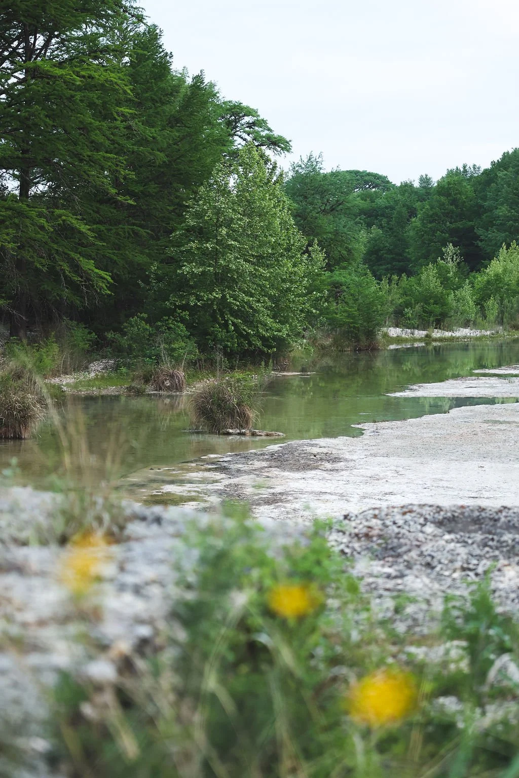 Gallery — Camp Cold Springs