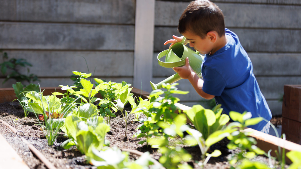Treetop Early Learning