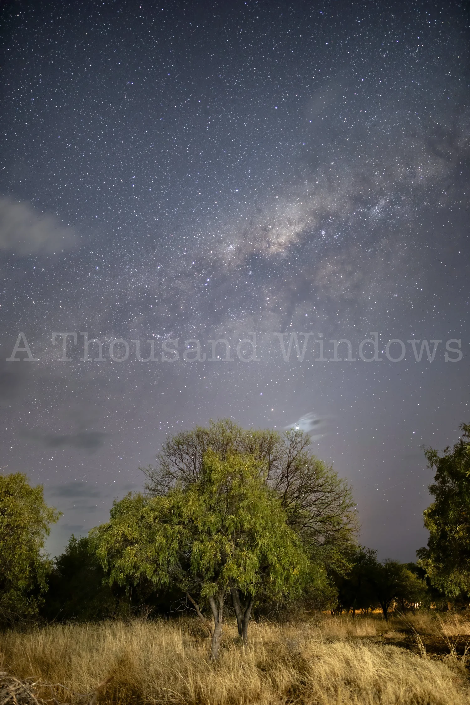 Southern Hemisphere Milky Way — Randy Robbins Photography