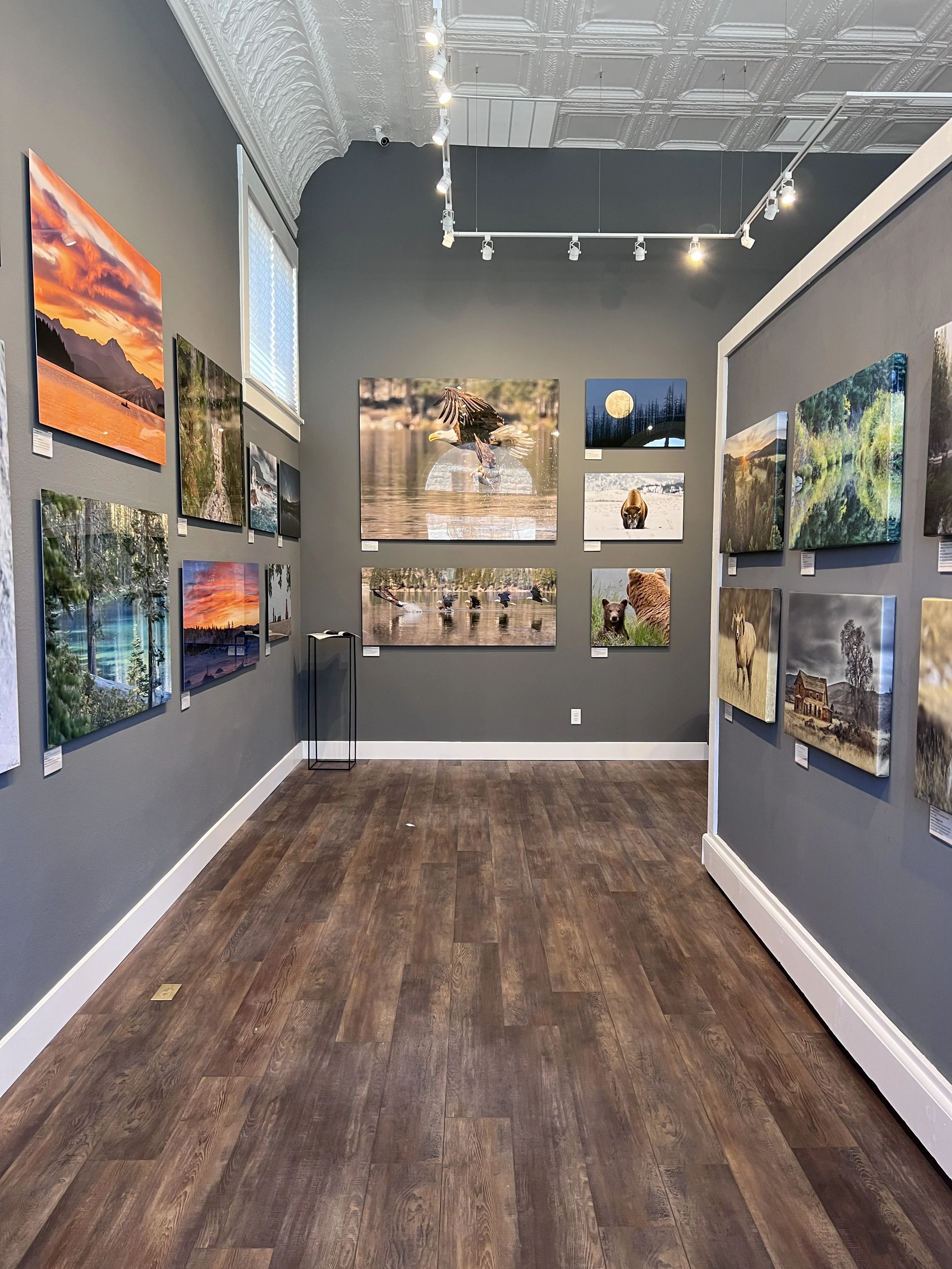 Randy Robbins Photography | A Thousand Windows Gallery