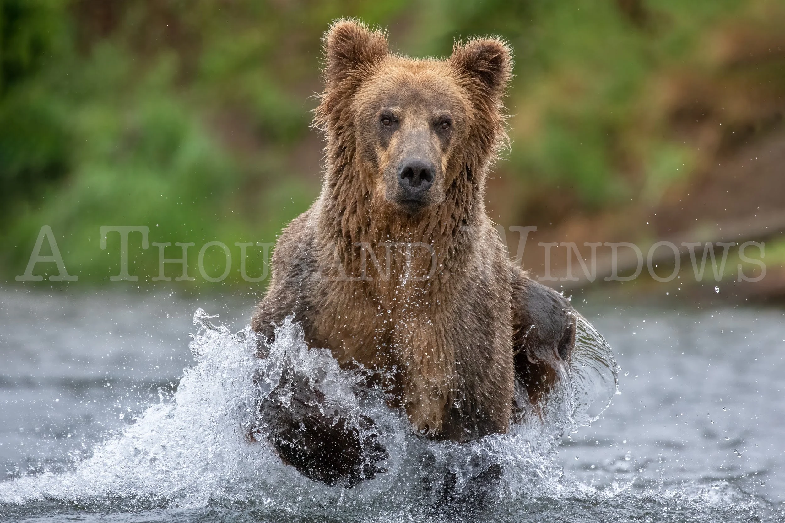 Power — Randy Robbins Photography