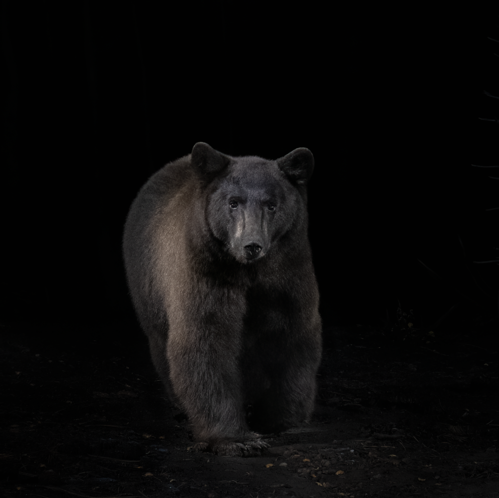 contact — Randy Robbins Photography