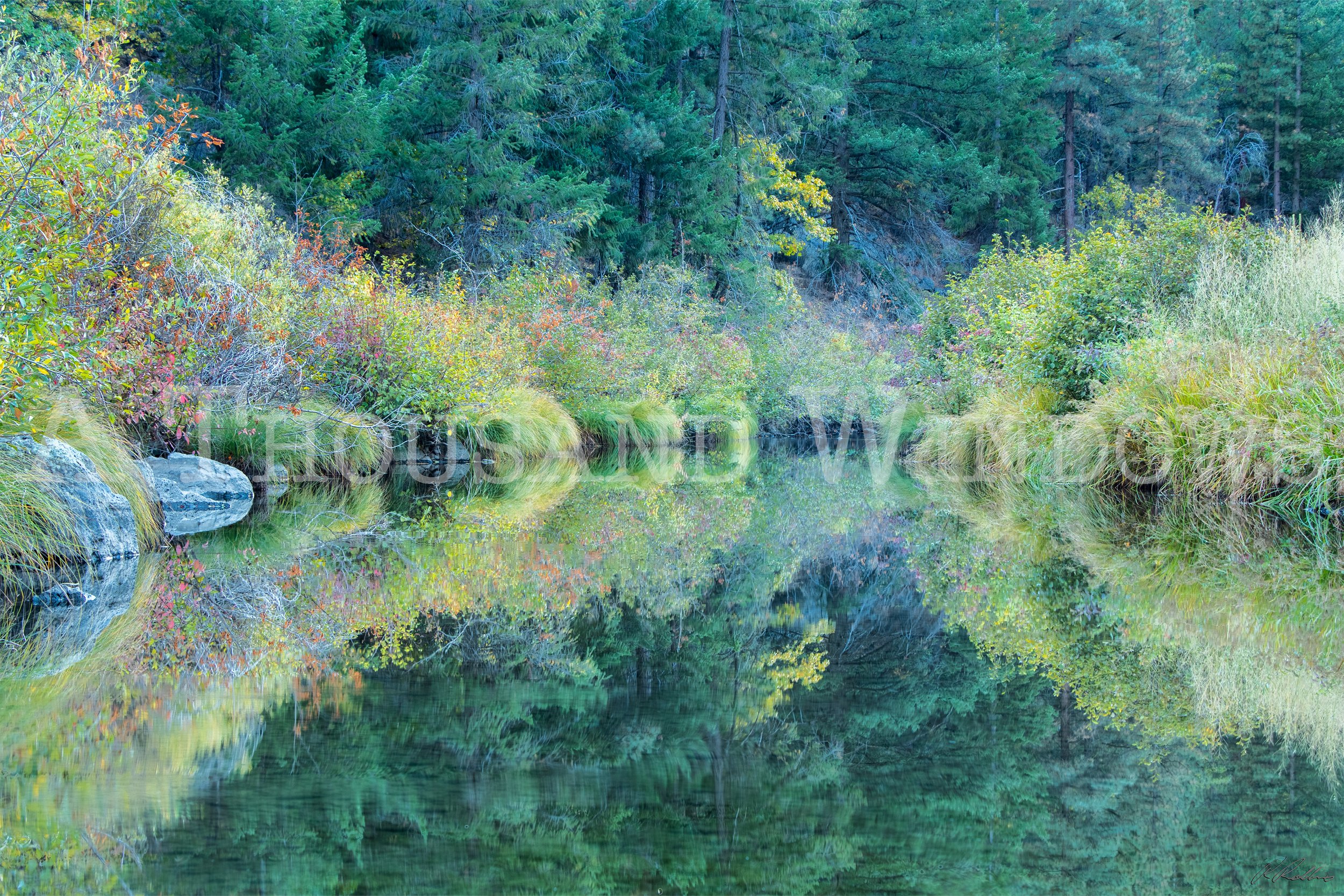 River Reflections — Randy Robbins Photography