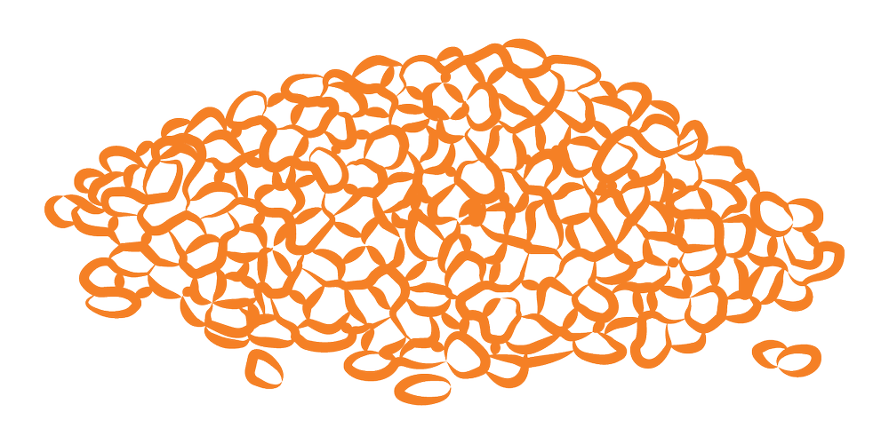 About — Midden By Mark Olive