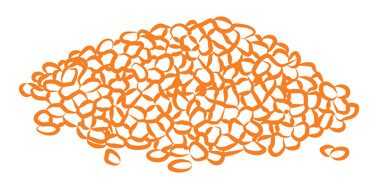 About — Midden By Mark Olive