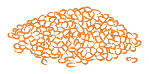 About — Midden By Mark Olive