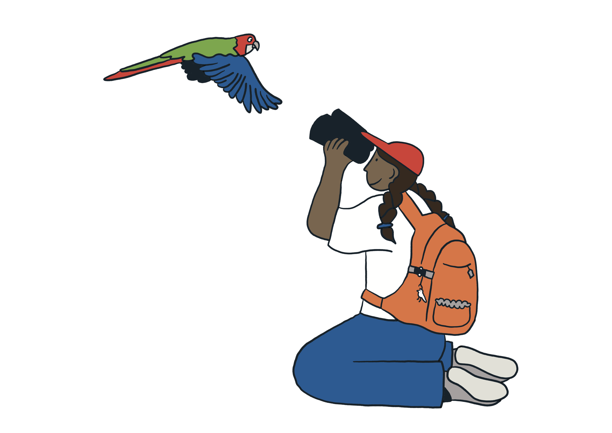 BirdLife Australia - Aussie Bird Count branding illustrations and ...