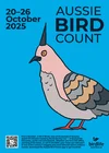 BirdLife Australia - Aussie Bird Count branding illustrations and ...