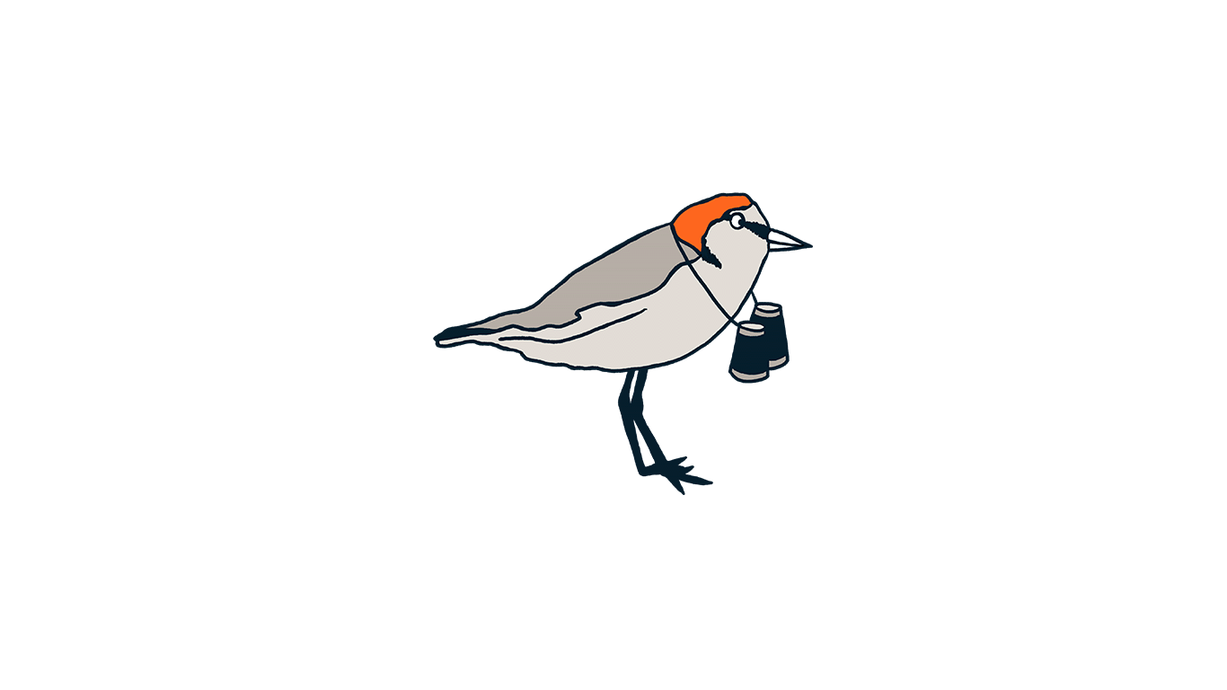 BirdLife Australia - Aussie Bird Count branding illustrations and ...