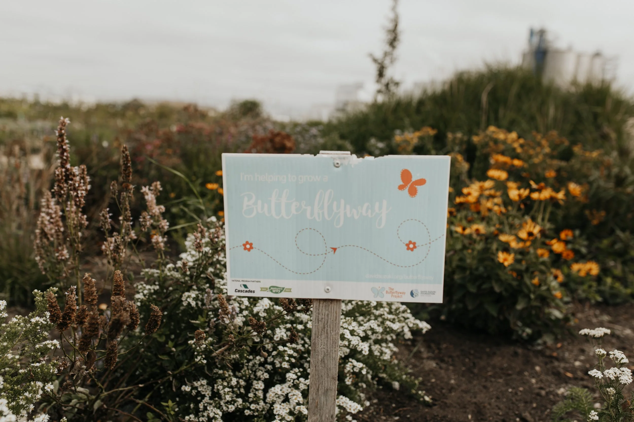 About Us — Altona Community Action Network