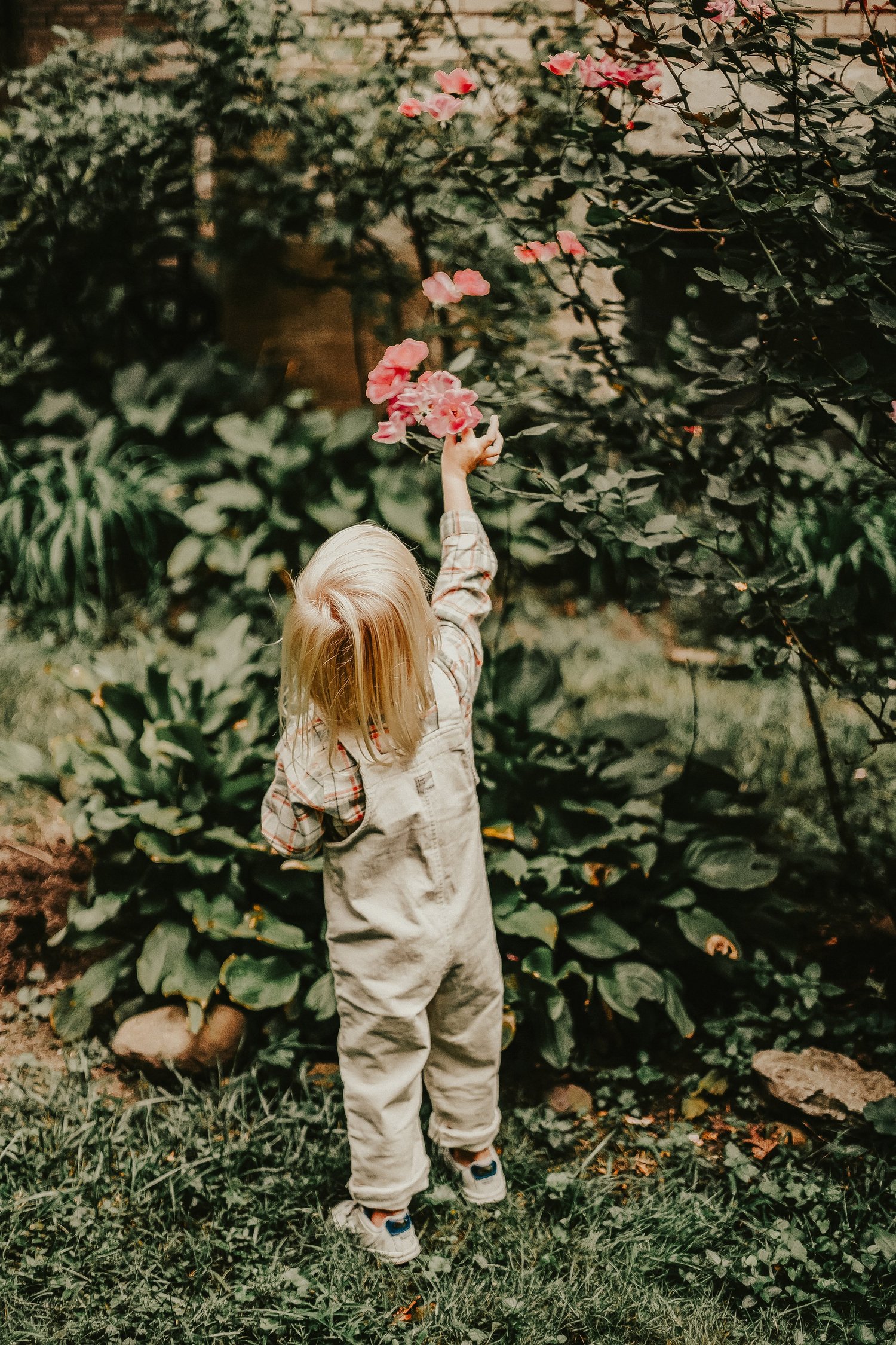 Understanding the Characteristics of a Highly Sensitive Baby, According ...