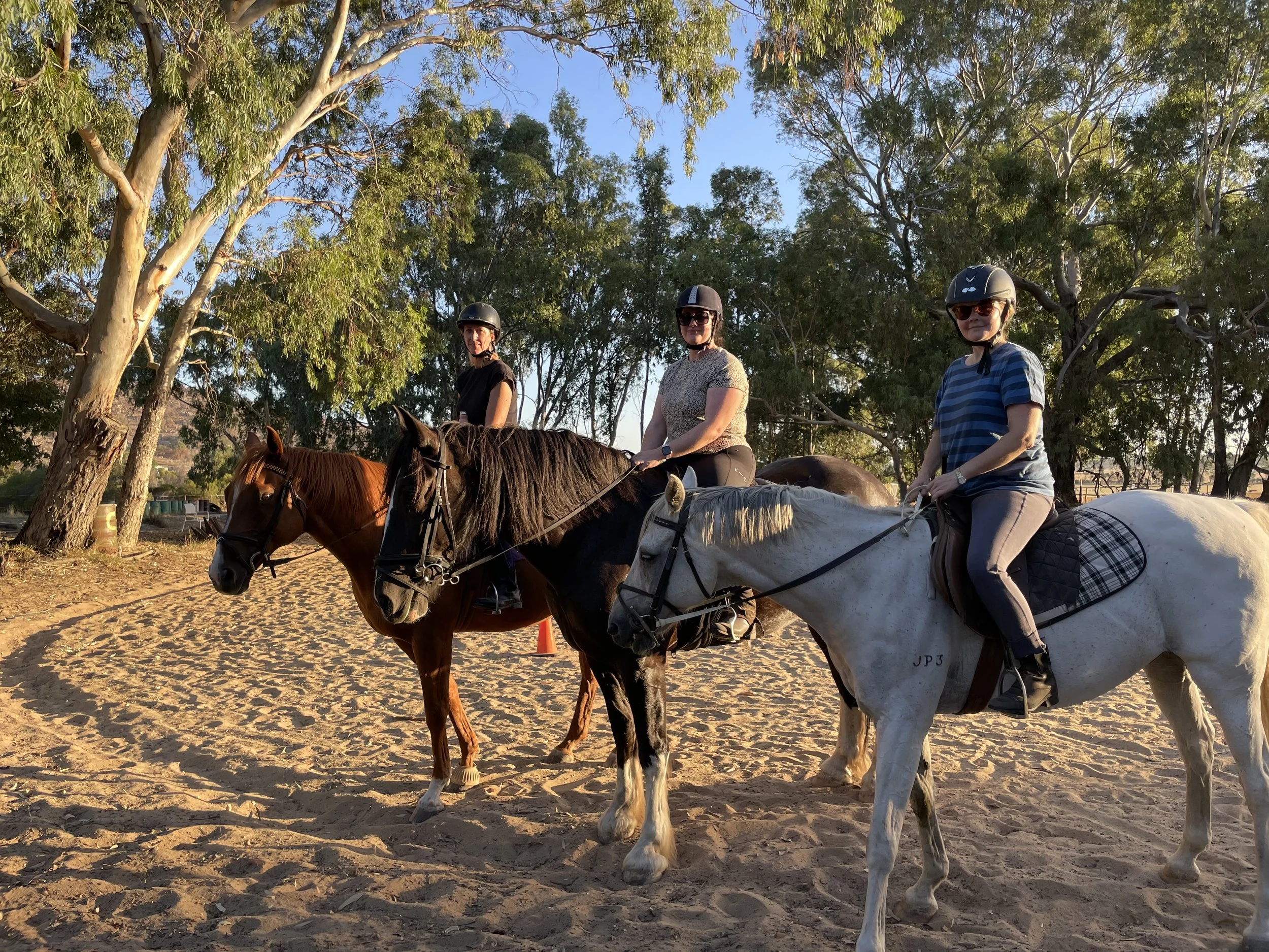 Classes — Yarrada Farm Riding School