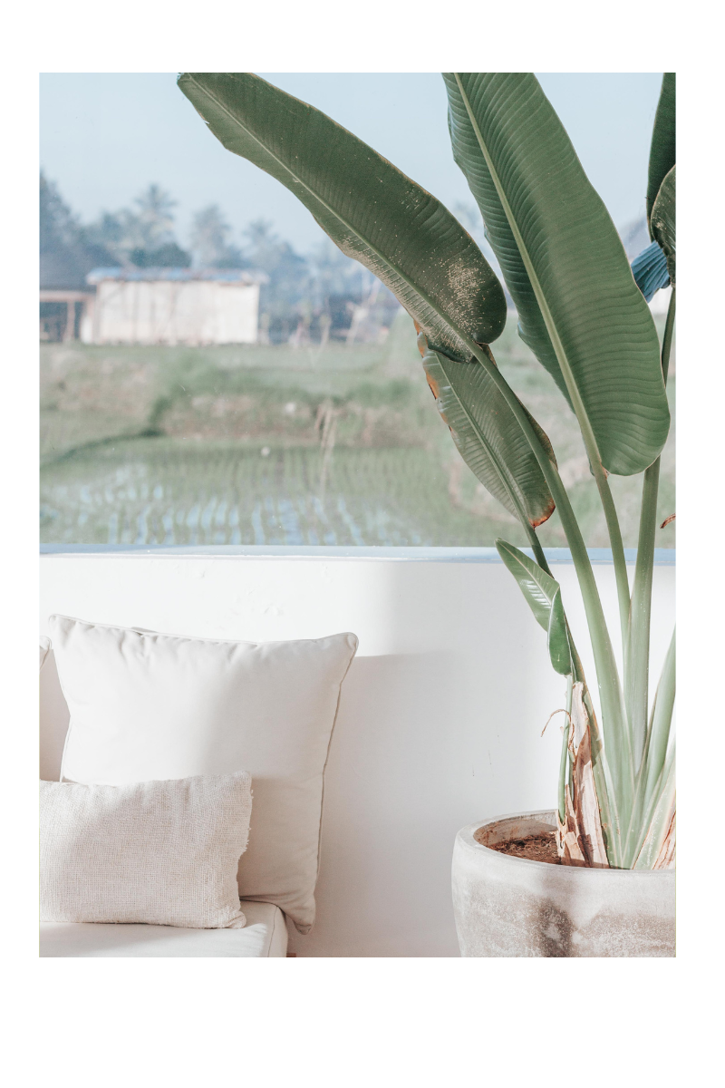 CIMELIA | Premium Petite Fashion for Timeless Elegance