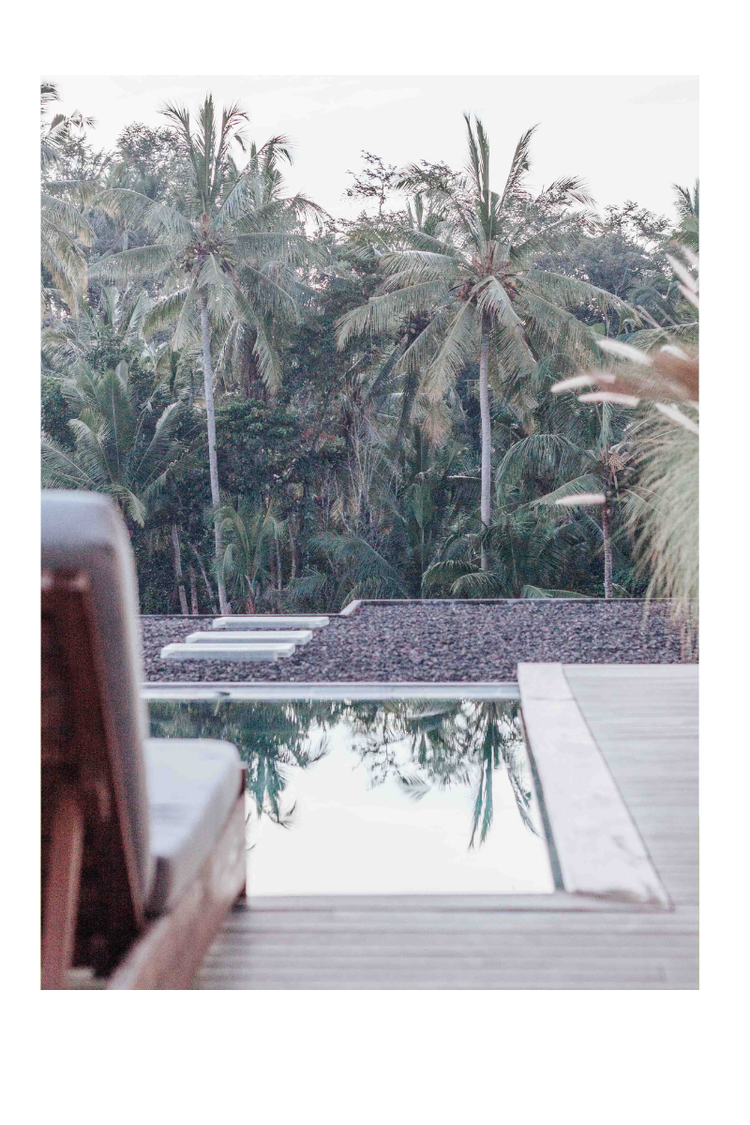 CIMELIA | Premium Petite Fashion for Timeless Elegance