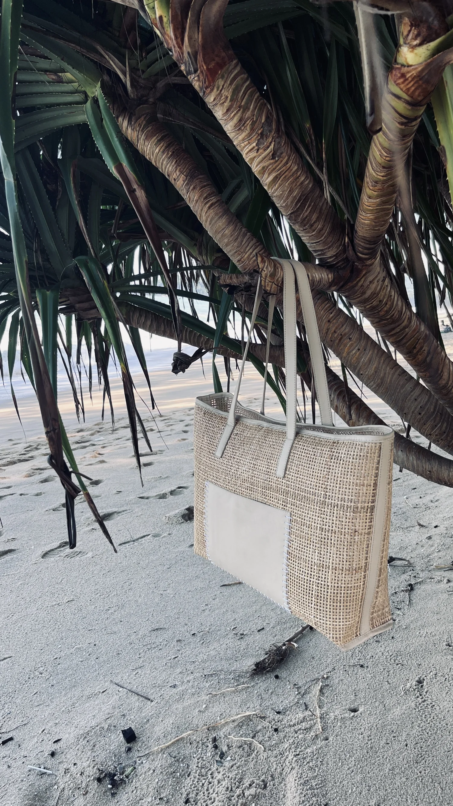 CIMELIA | Premium Petite Fashion for Timeless Elegance