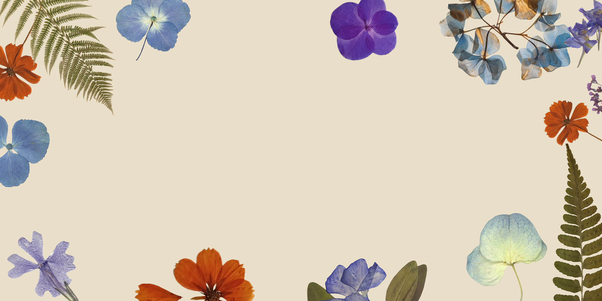 Alex Jago | herbalist BHSc