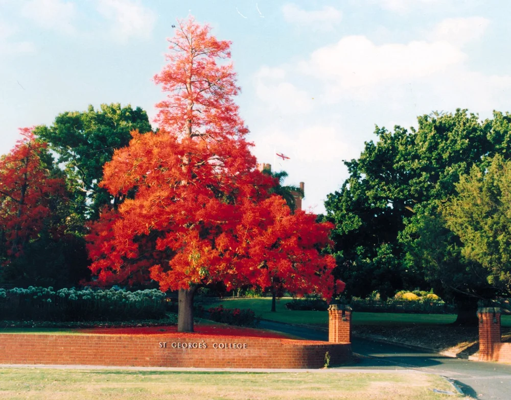 Online Payment — St Georges College