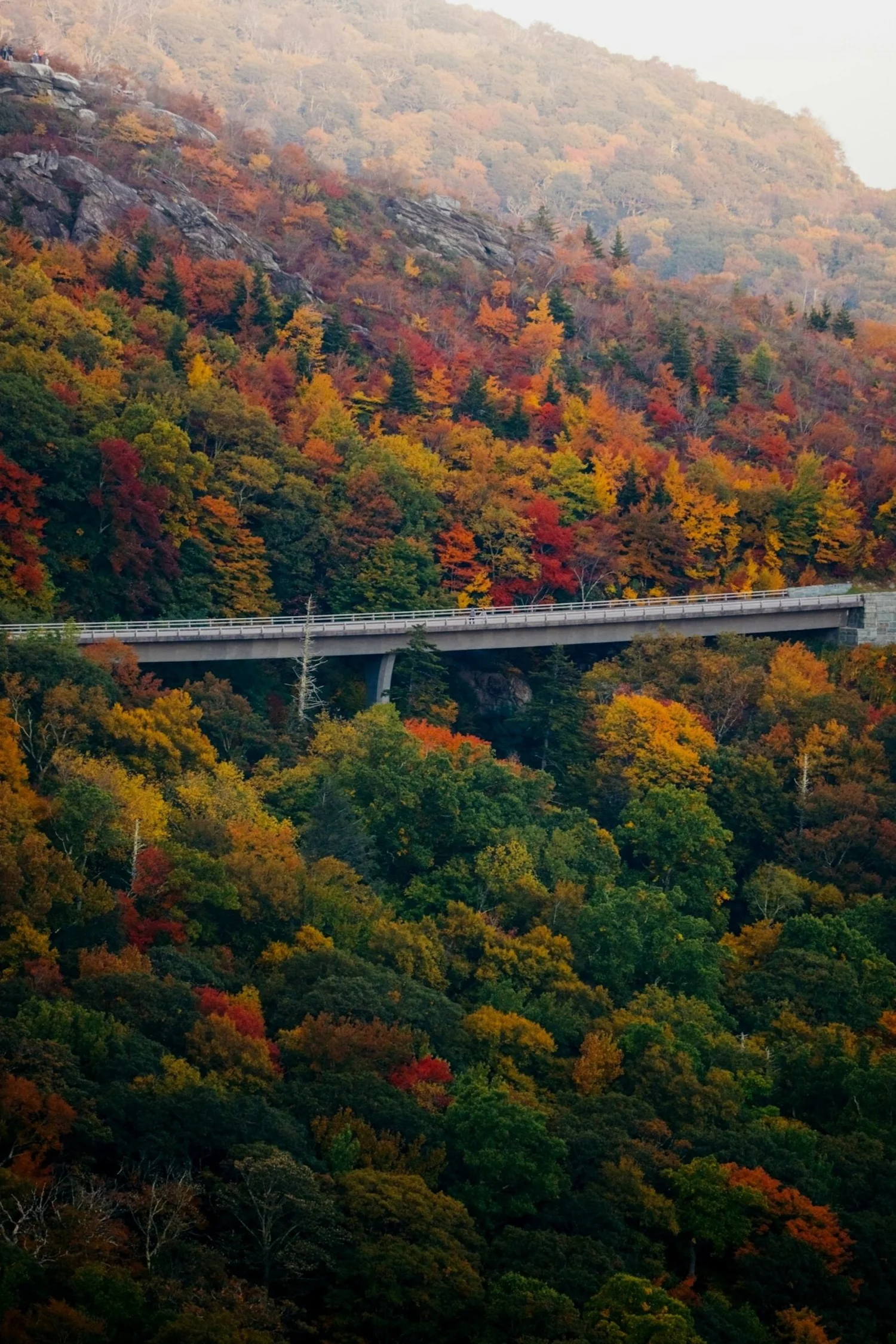 Ivy Cottages Retreat