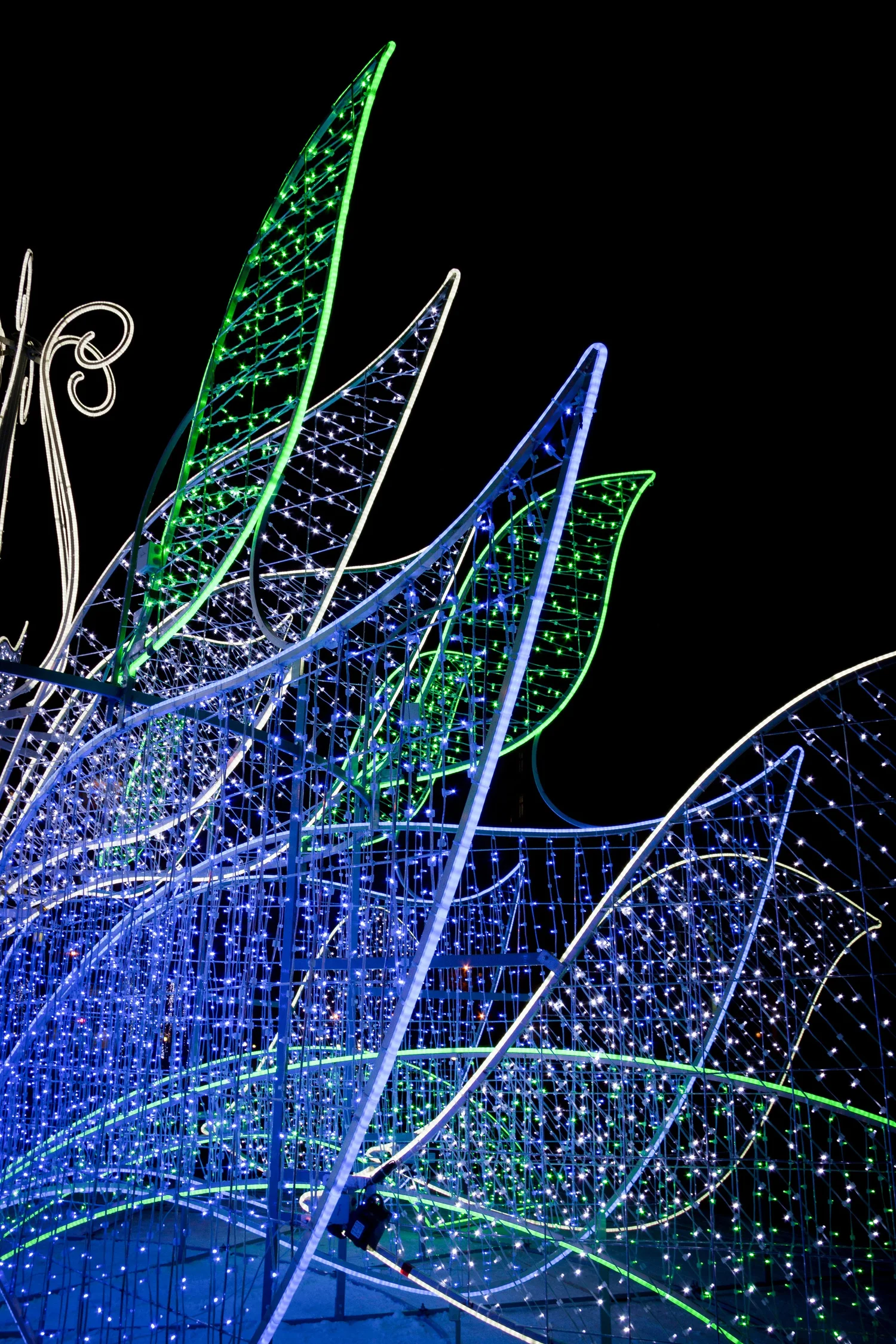 The Wonderland of Lights — Drive Through Light Show