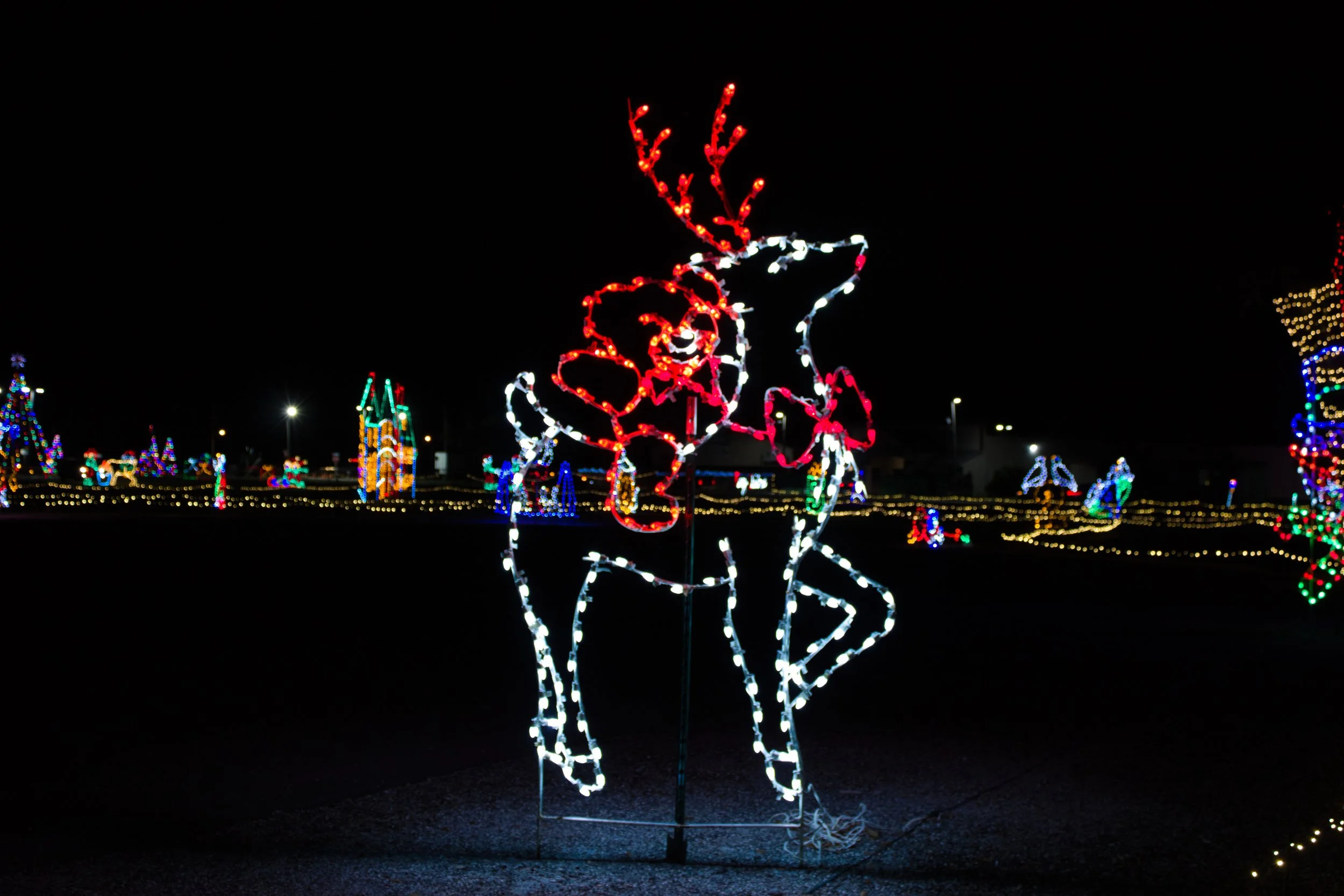 The Wonderland of Lights — Drive Through Light Show
