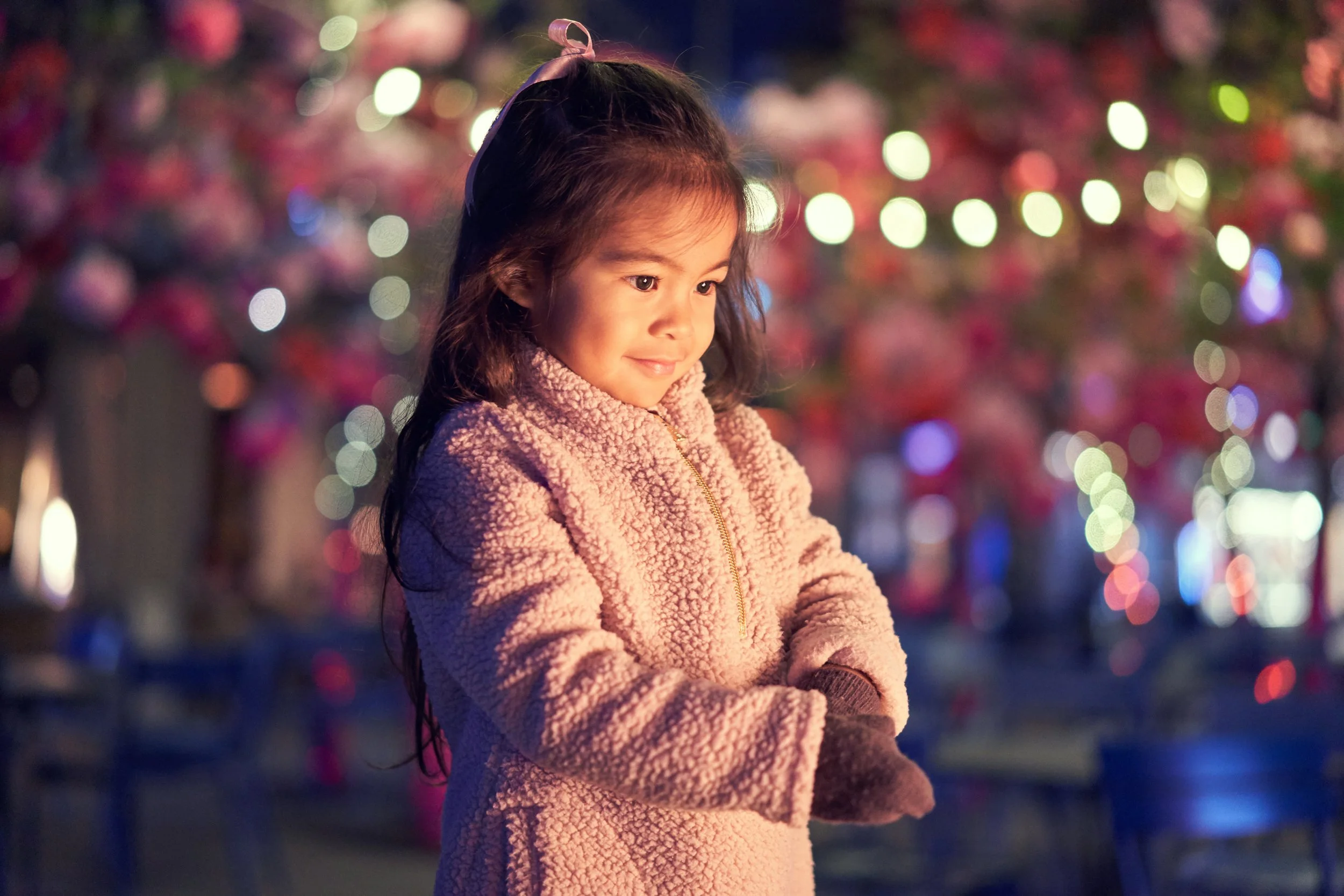 About — The Wonderland of Lights — Drive Through Light Show