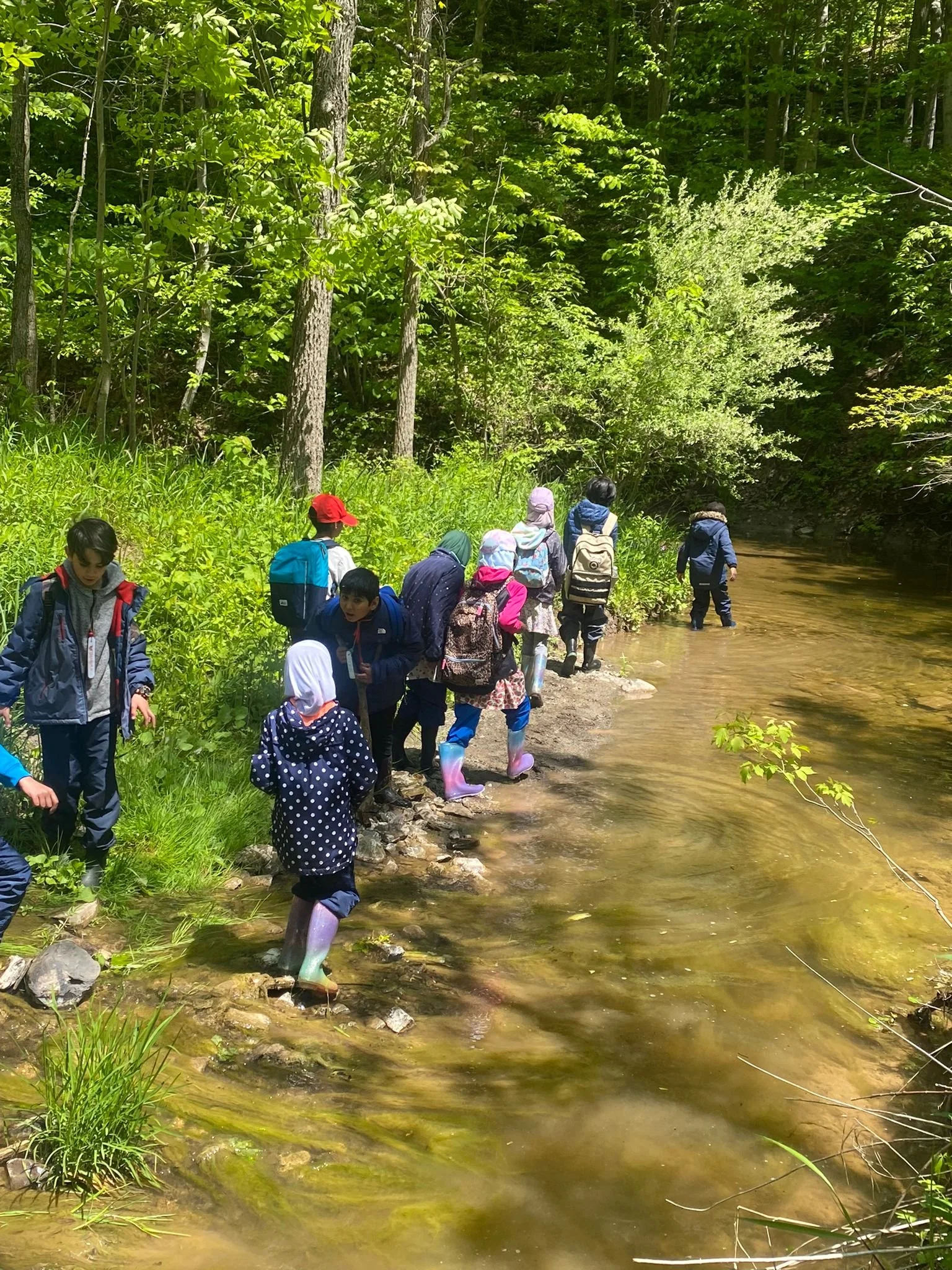 Earth Explorers — EarthSteps